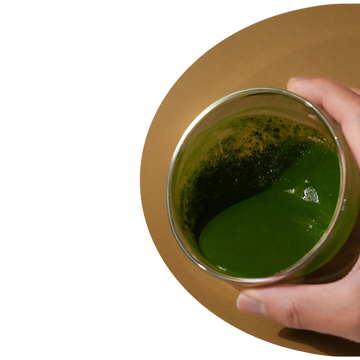 Matcha Selection Guide – Midori Spring